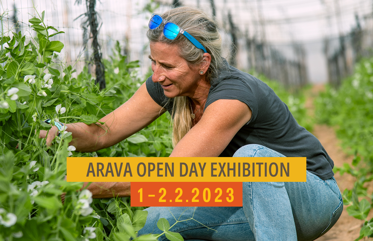 Home Page :: Open day Arava